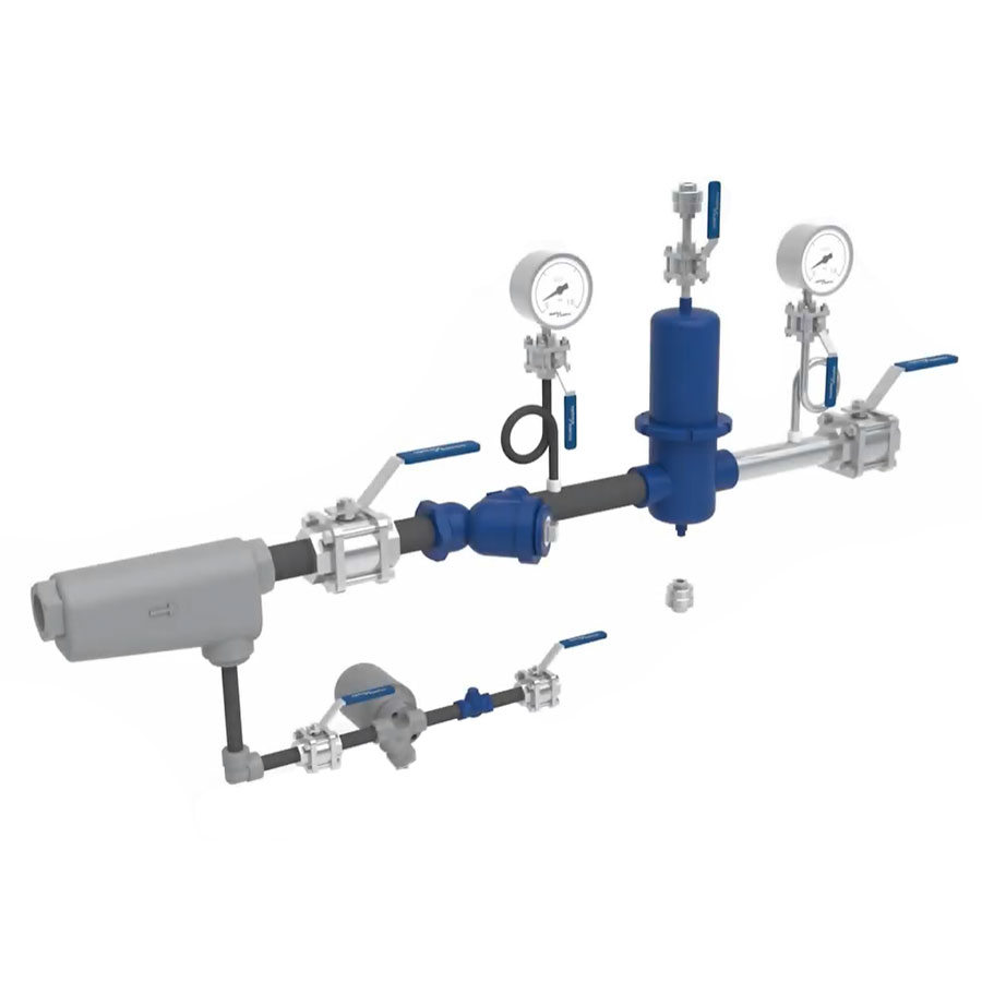 Spirax Sarco FS-HC 1" Steam Filter Station | Cooney Brothers