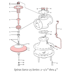 Spirax Sarco 70874 Rebuild Kit, 2-1/2" 25 Series | Cooney Brothers