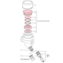 Spirax Sarco 1870080 TDC46M Seat Maintenance Kit | Cooney Brothers