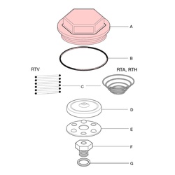 Spirax Sarco 70539 Cap and O-Ring Kit | Cooney Brothers